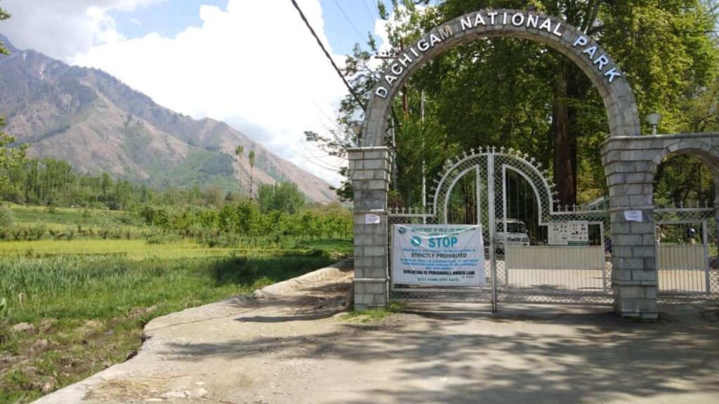Dachigam National Park : Kashmir's Wildlife Sanctuary - Golden Wheels